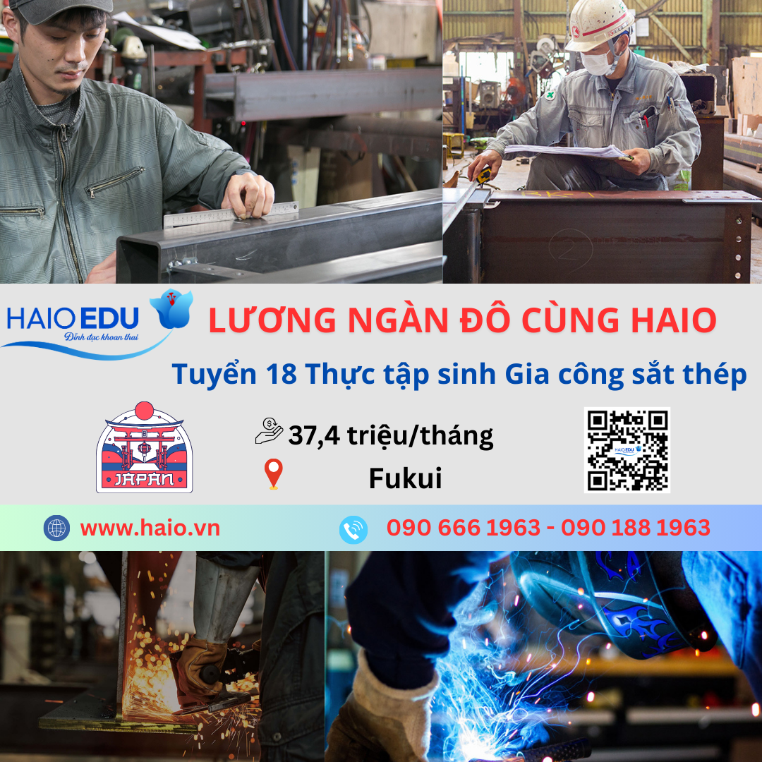 Công ty TNHH Đào tạo chuyển giao Lao động & Chuyên gia Haio (Haio ...